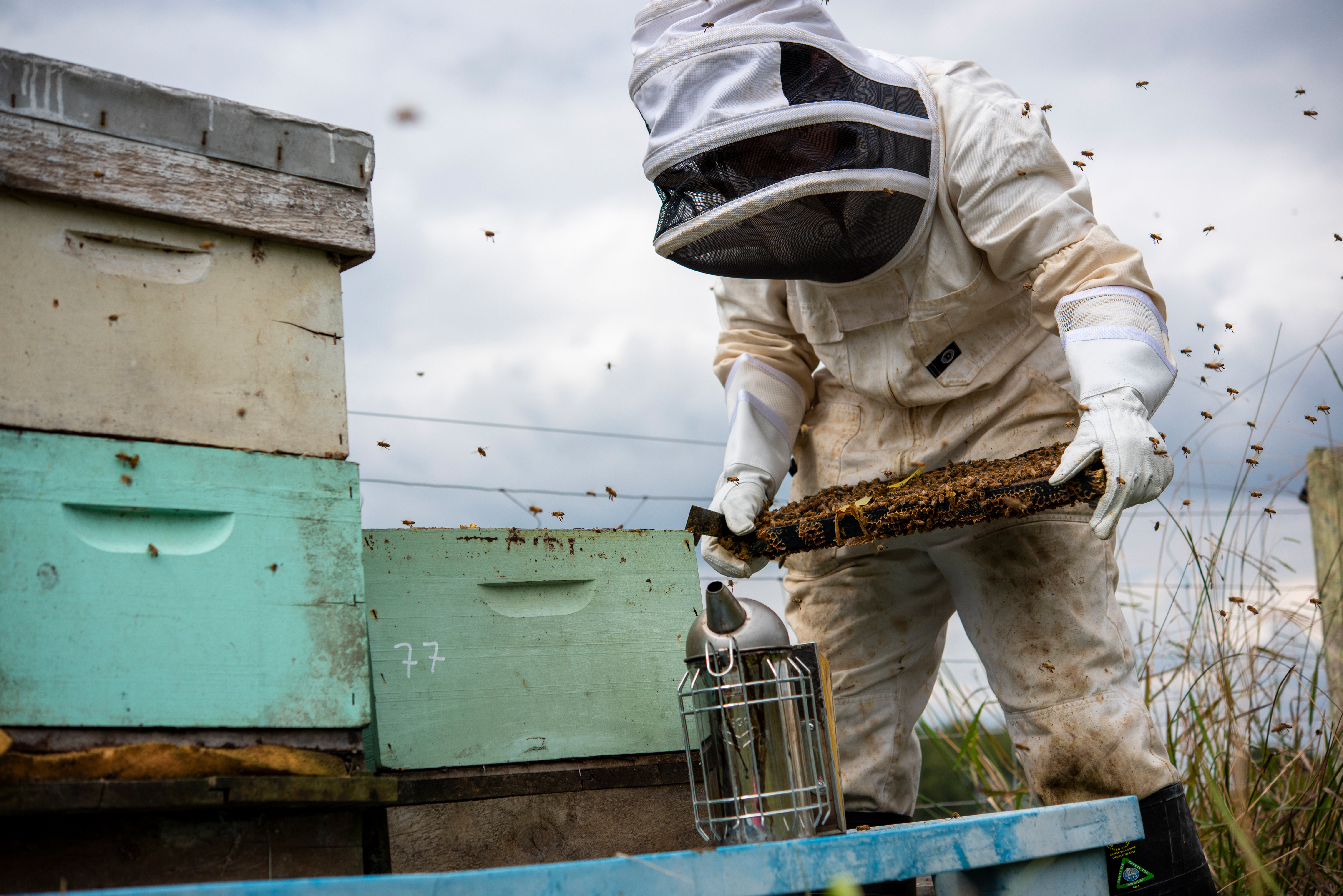 Apiculture · Plant & Food Research