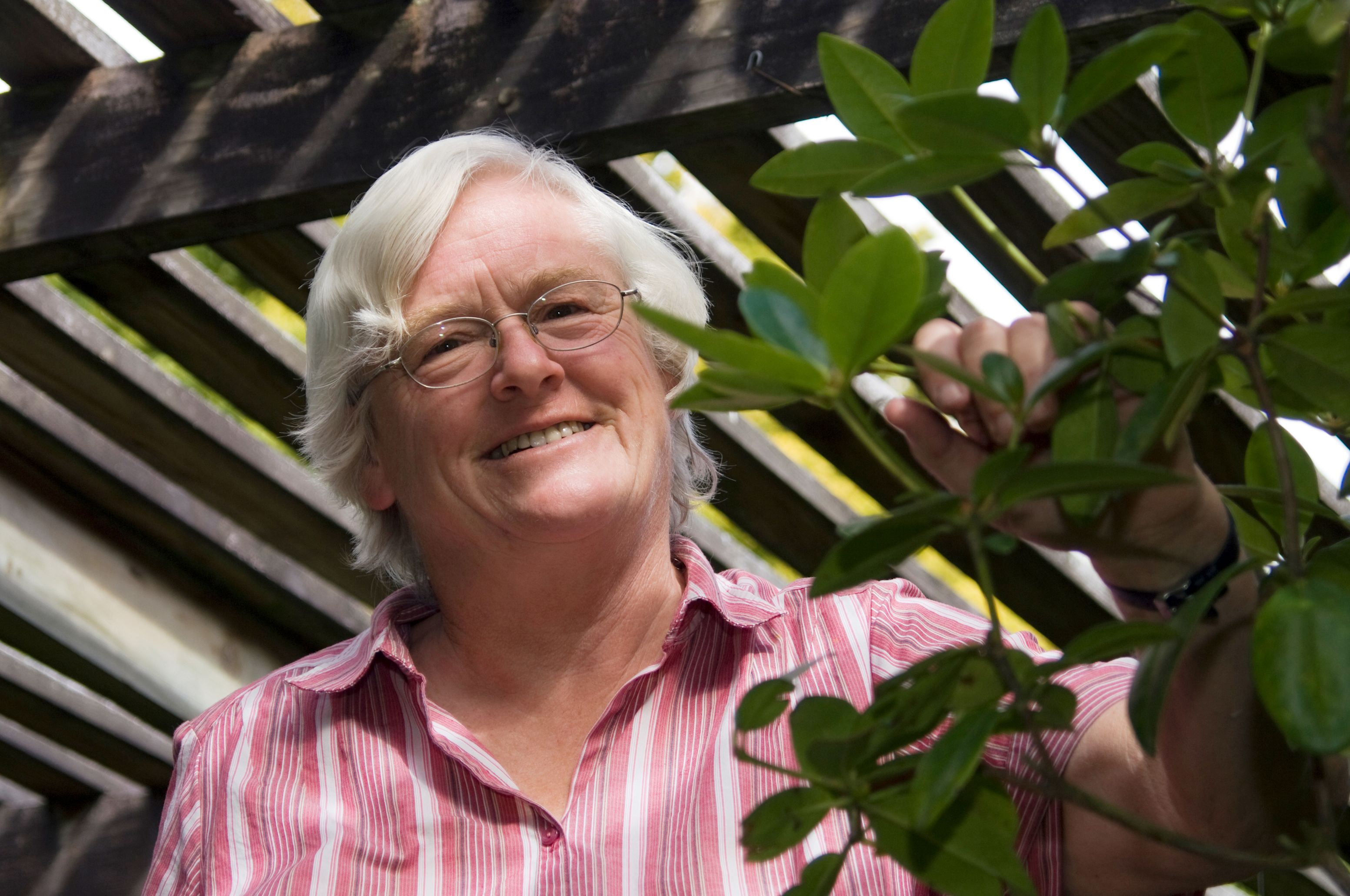 Plant molecular geneticist Dr Susan Gardiner honoured by Royal Society ...