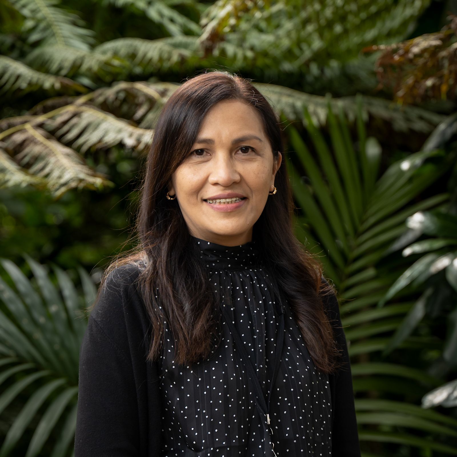 NZ applied research skills to boost value of mango exports from ...