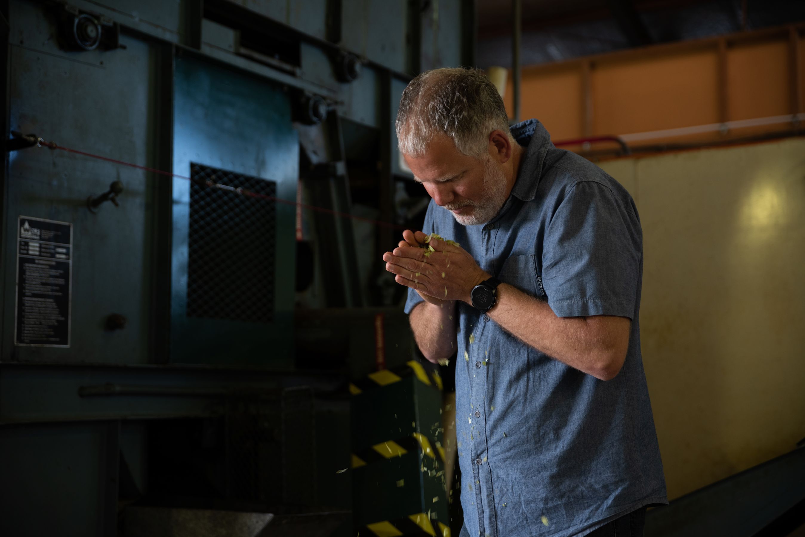 Kerry Templeton: NZ hops are used in premium craft beers around the ...