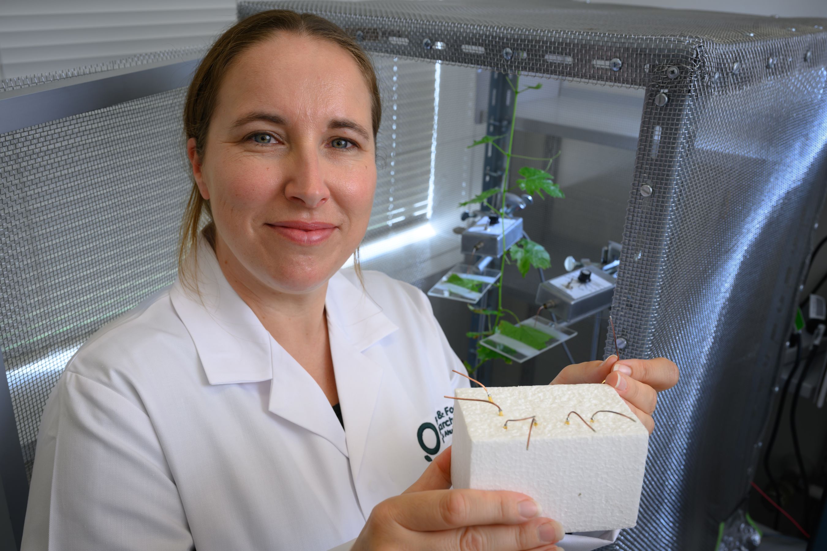 A natural defence for a vineyard pest · Plant & Food Research