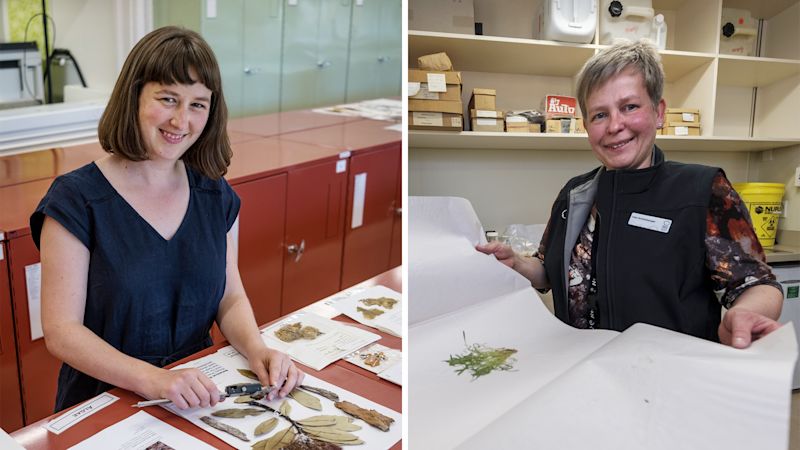 Dr Rebecca Bloomer · Plant & Food Research