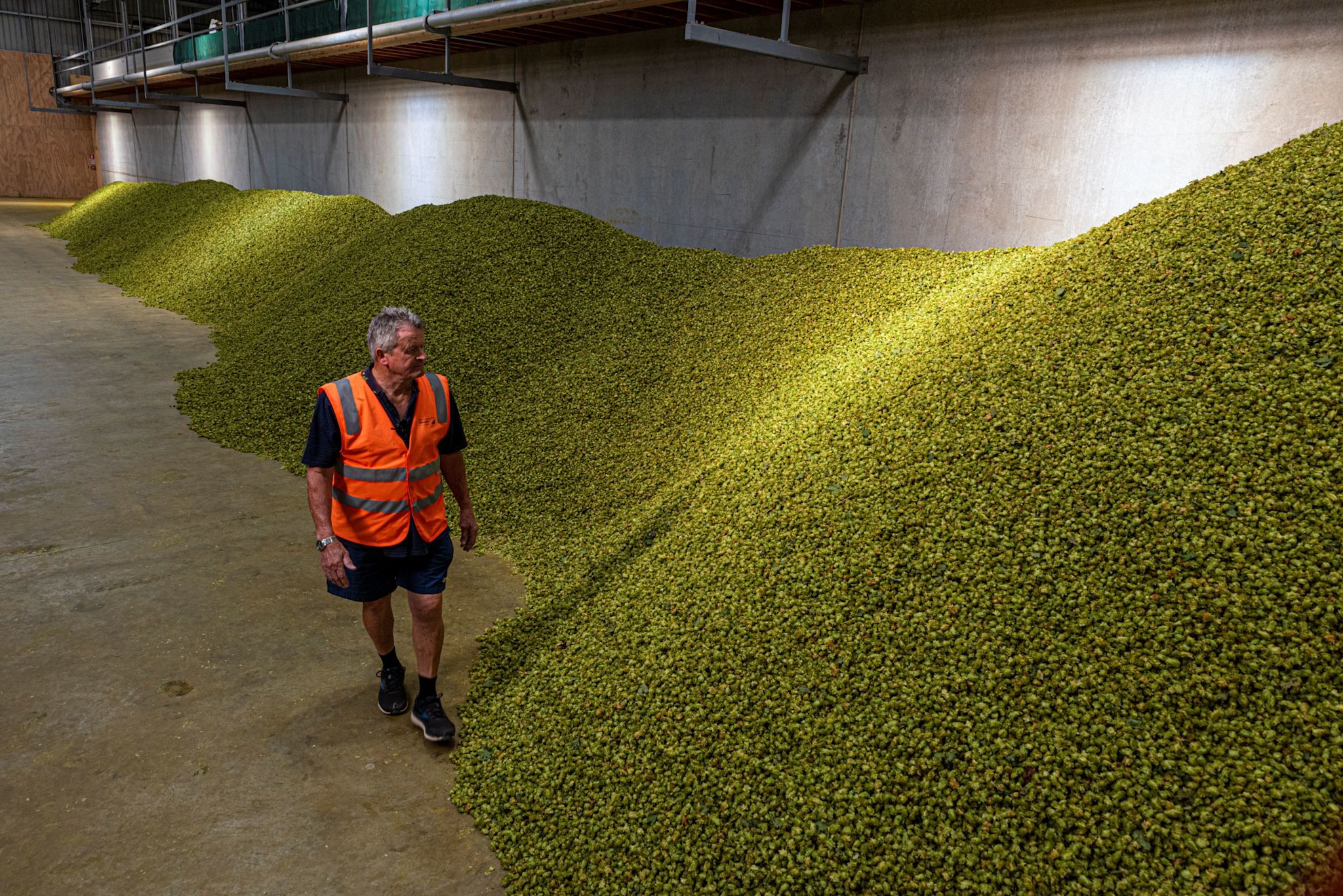 Master of hops · Plant & Food Research