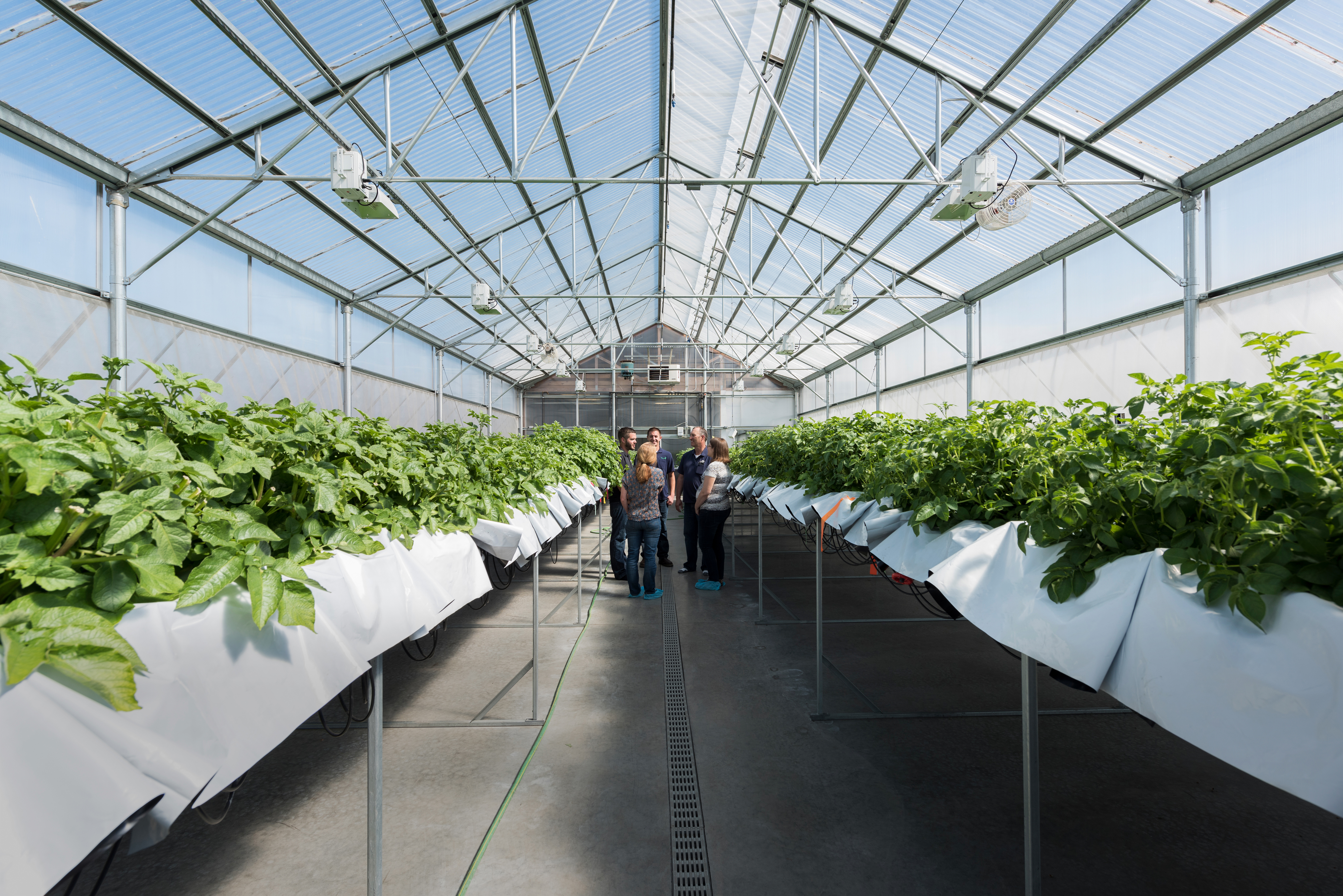 Working together · Plant & Food Research