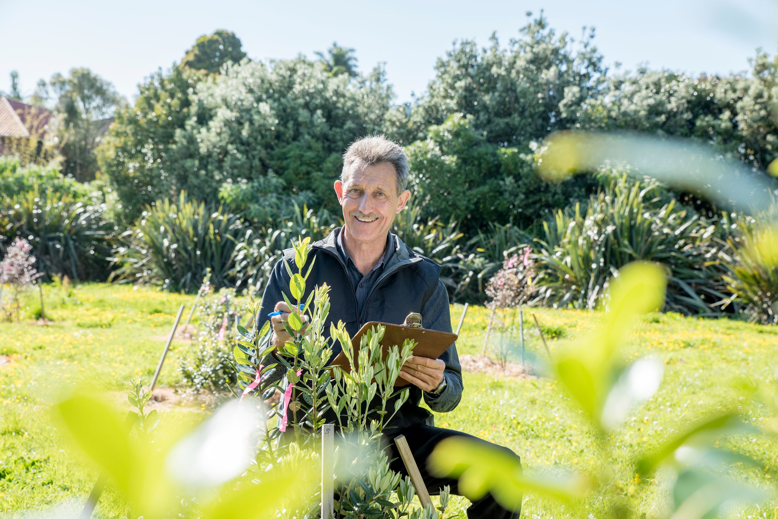 Robert Beresford: weather talk - how climate affects myrtle rust ...