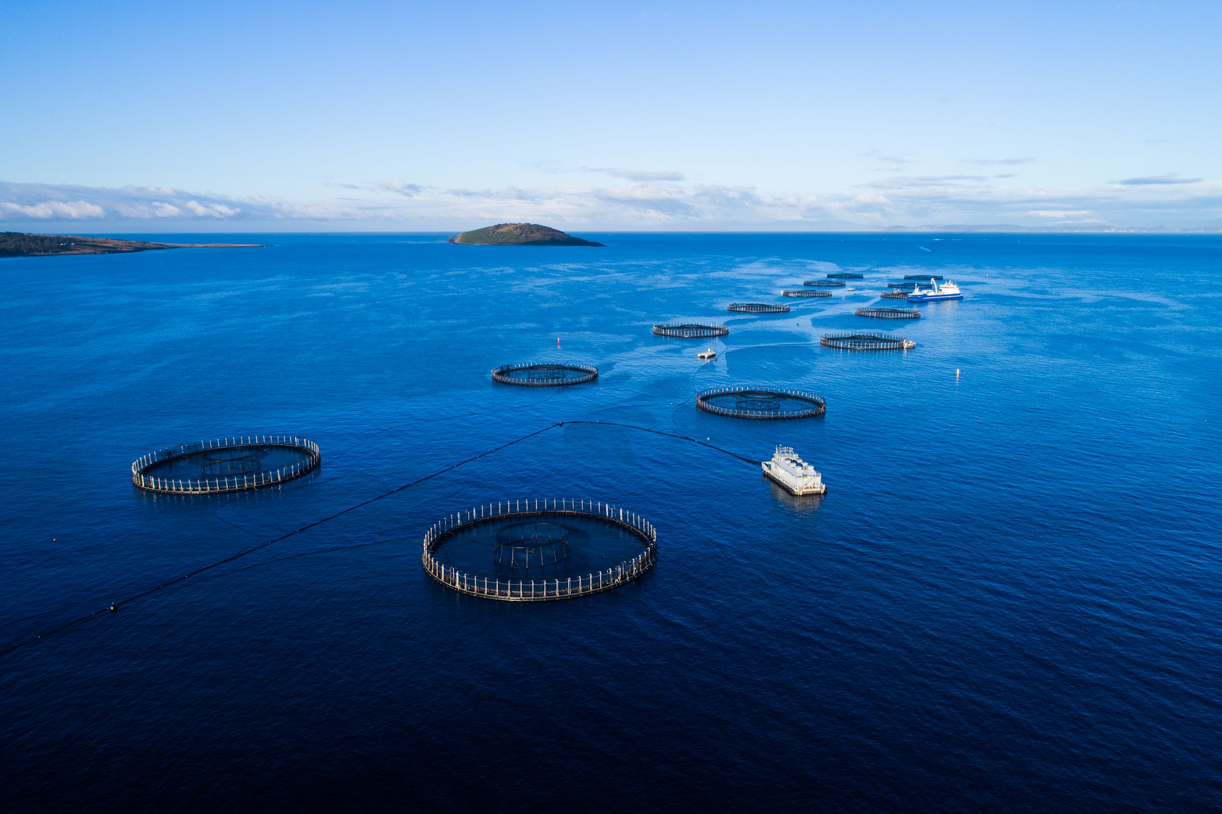Seafood production · Plant & Food Research