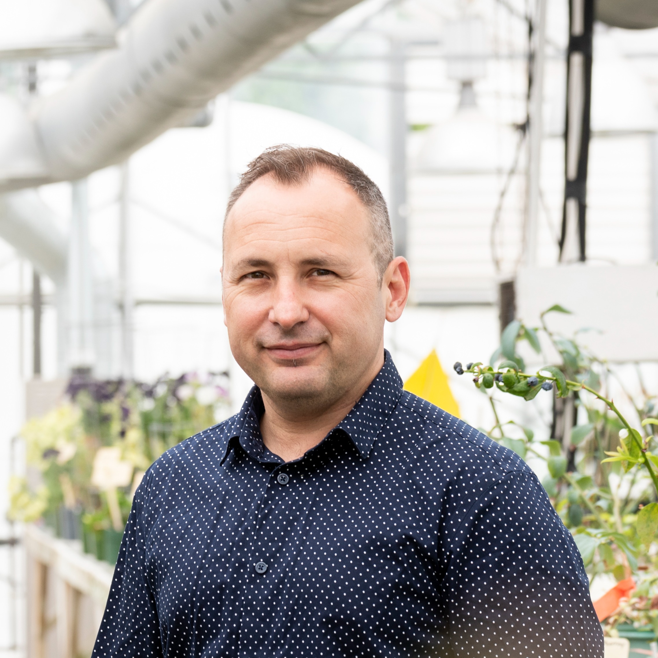 Dr David Chagne · Plant & Food Research