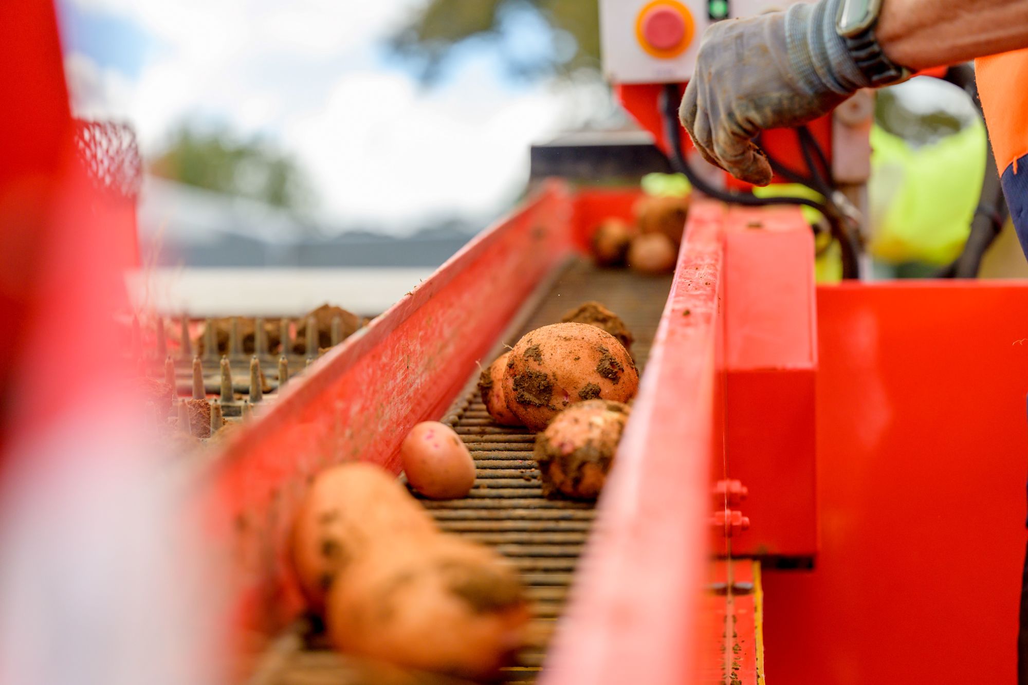 Aotearoa Horticulture Action Plan · Plant & Food Research