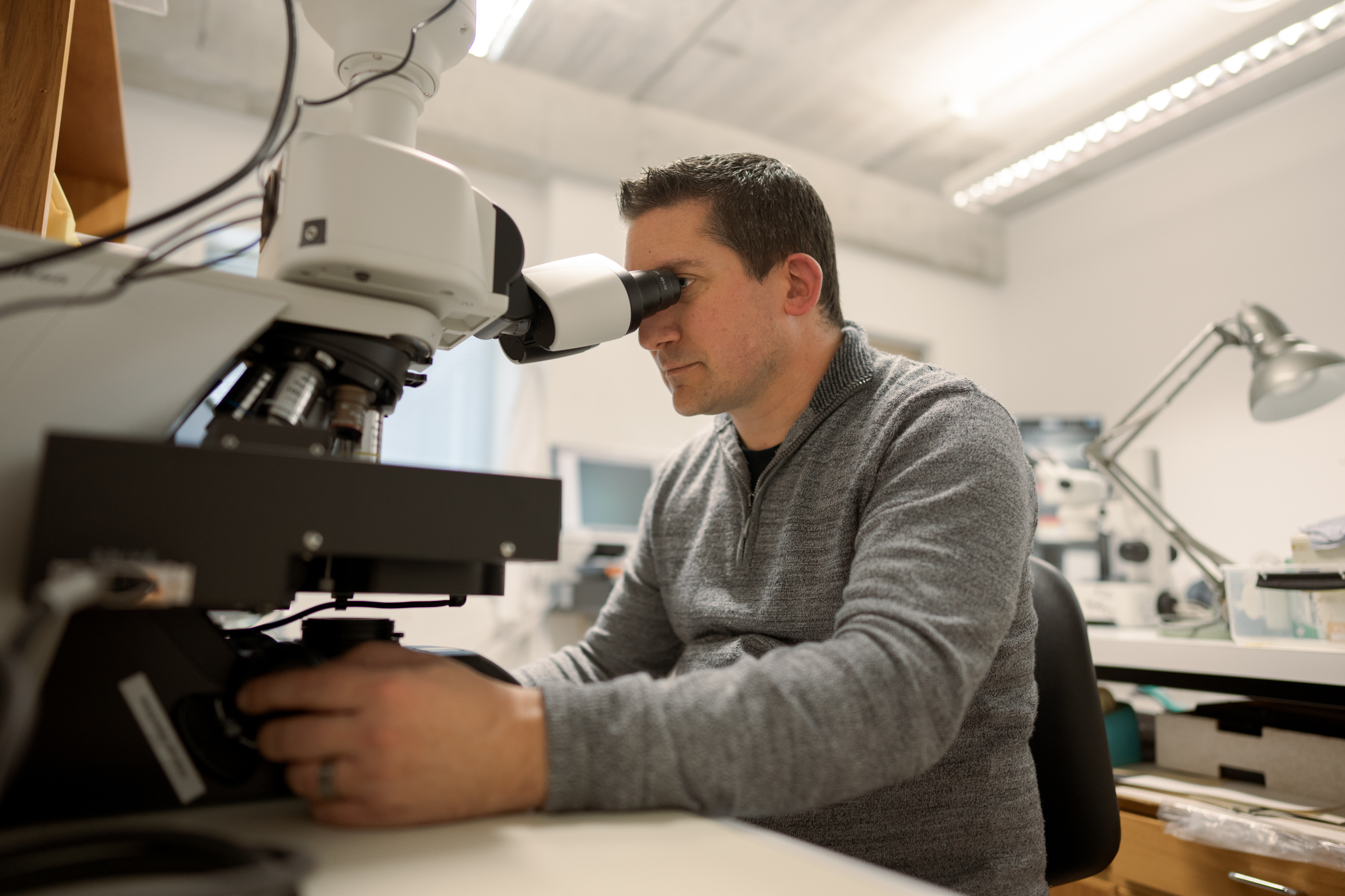 Nationally Significant Collections held at the Bioeconomy Science ...