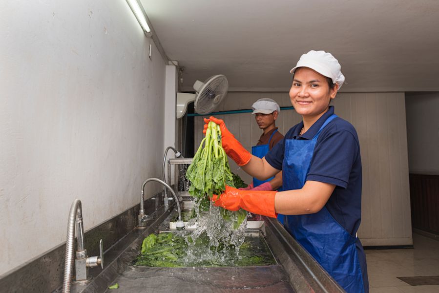 Bringing Cambodian horticultural practices to international standards ...