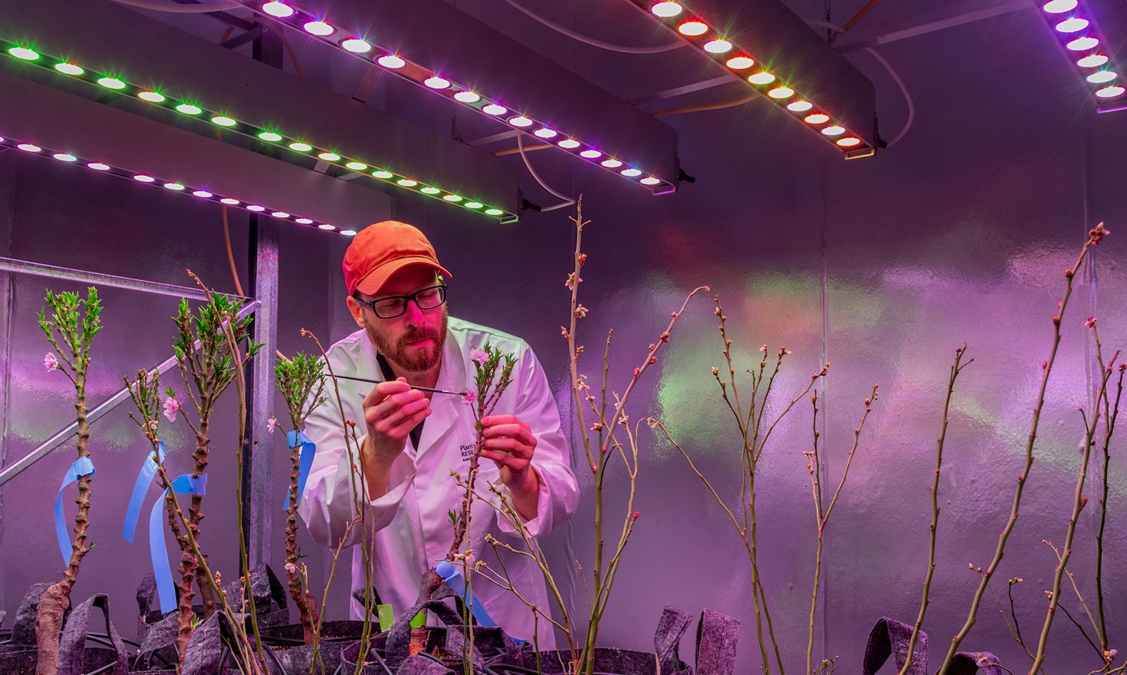 A smart green future. Together. · Plant & Food Research