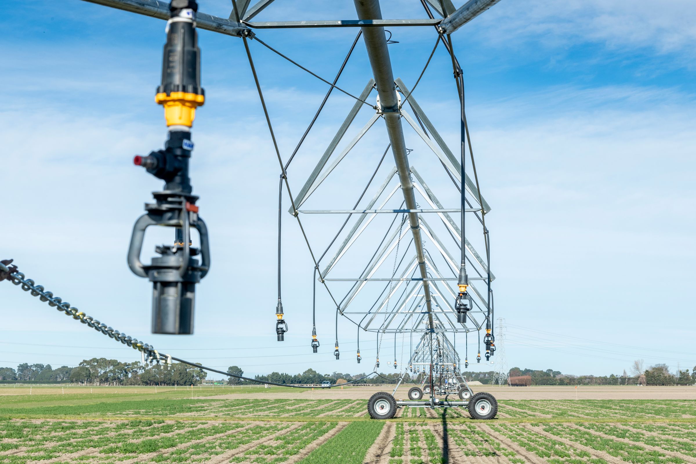 Arable crops · Plant & Food Research