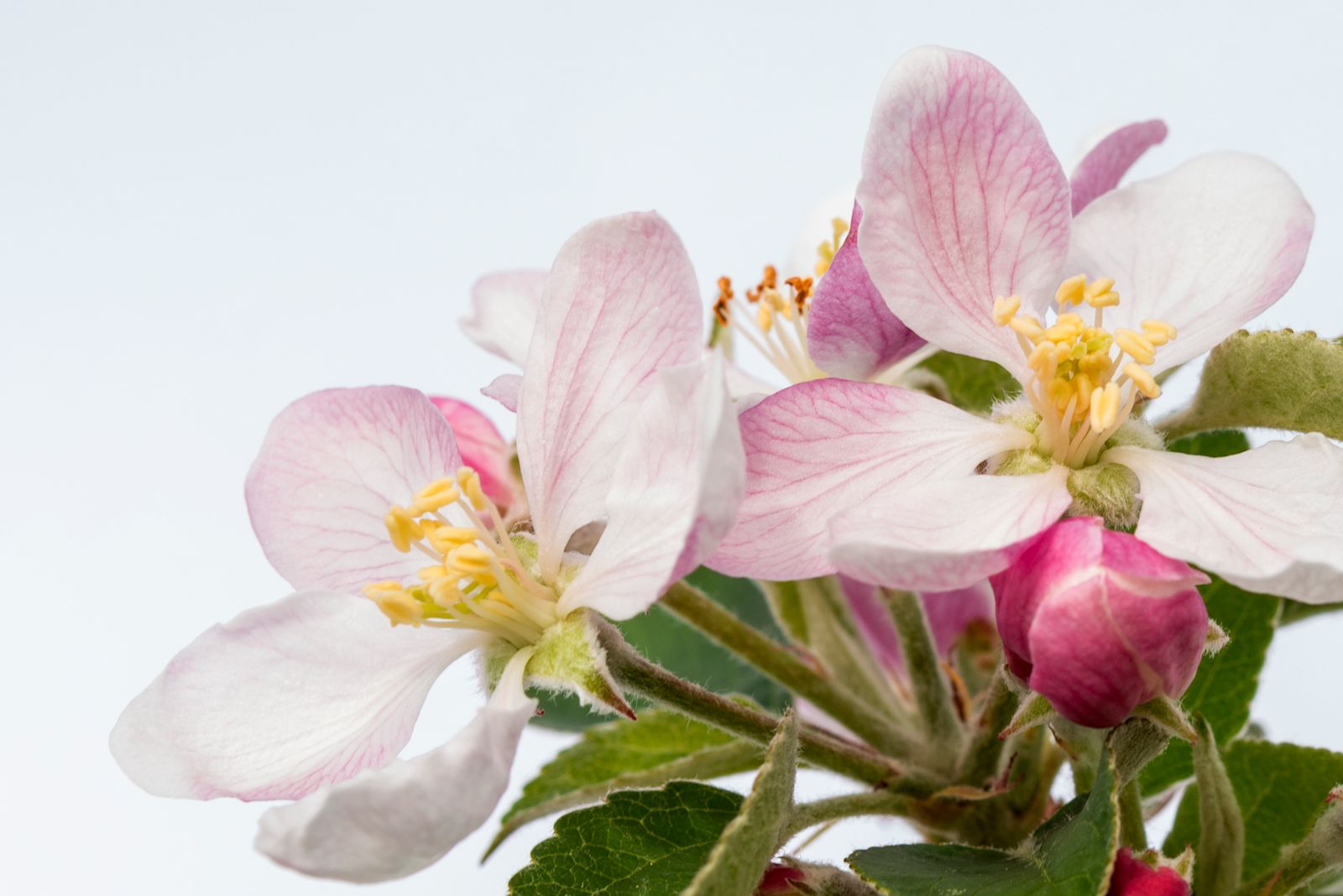 Soil, water & climate · Plant & Food Research