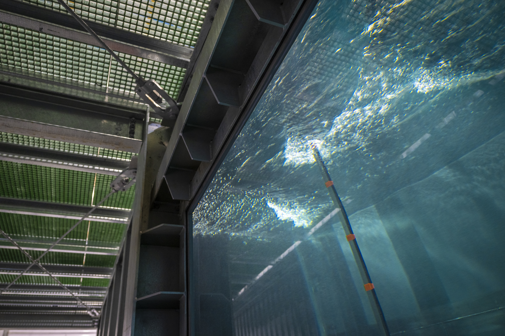 Flume tank · Plant & Food Research