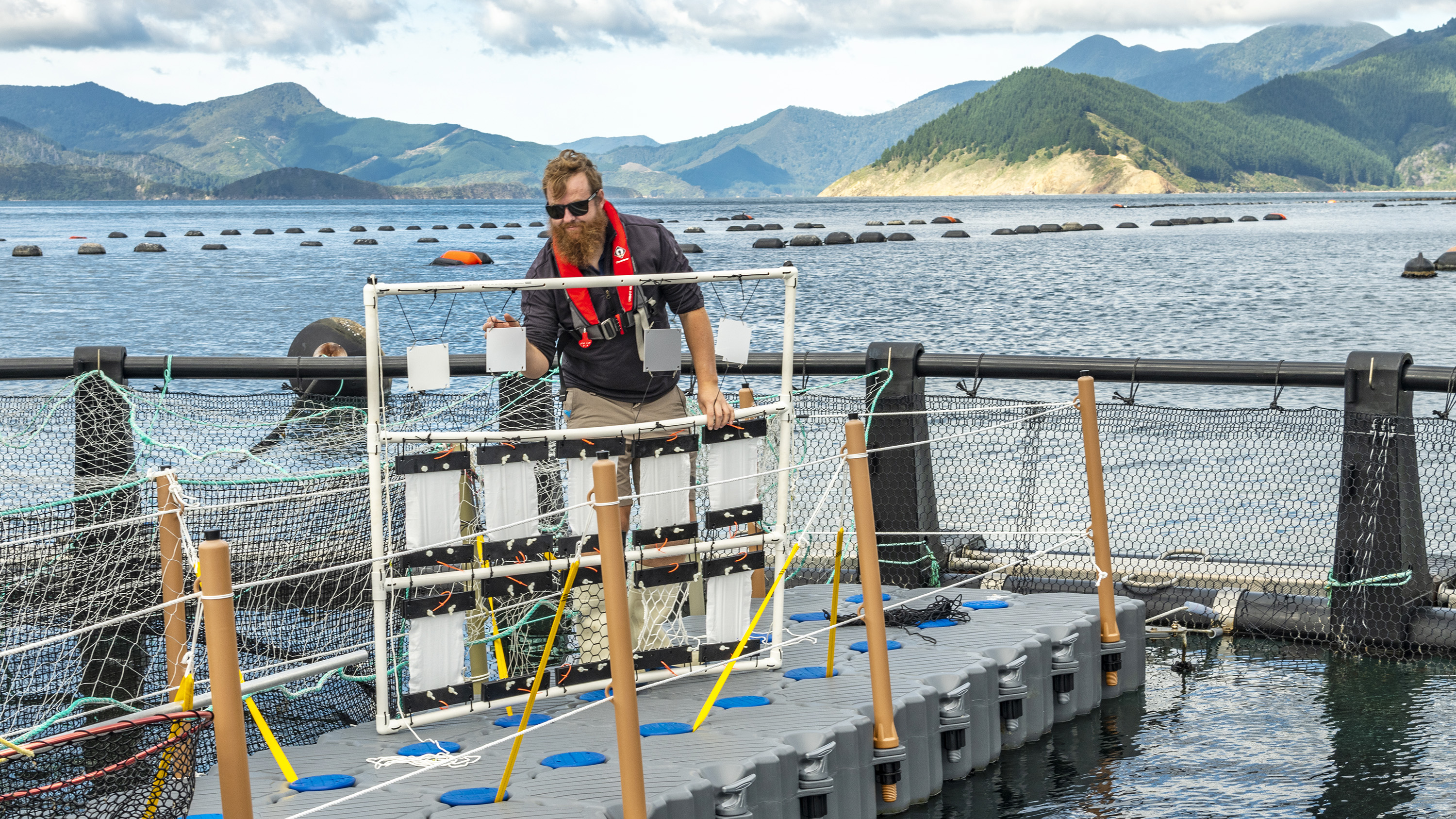 The science of biofoul and making the most of a bad thing · Plant ...