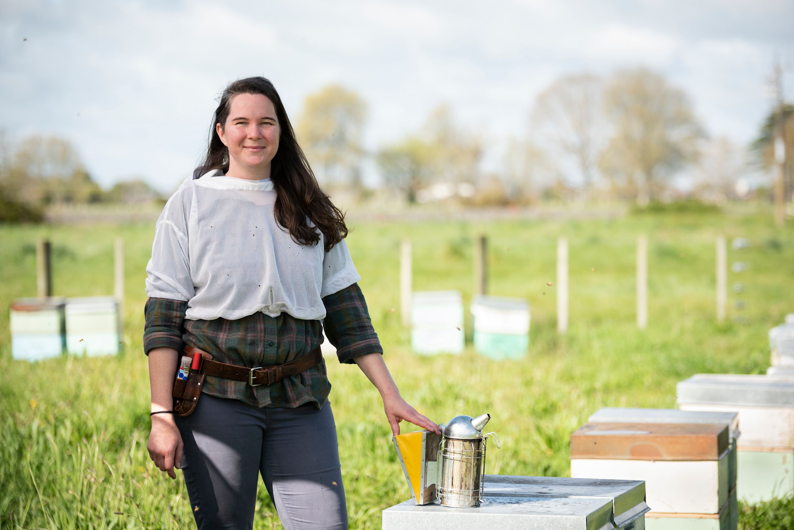 Where would we be without bees? · Plant & Food Research