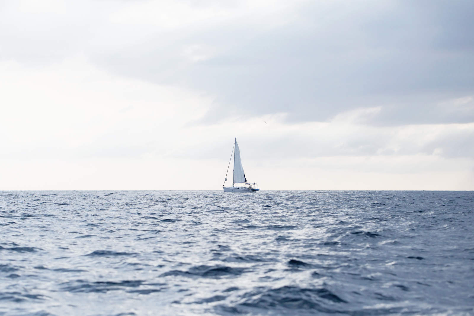 How To Fetch Nft Collection Using Javascript And Opensea Api