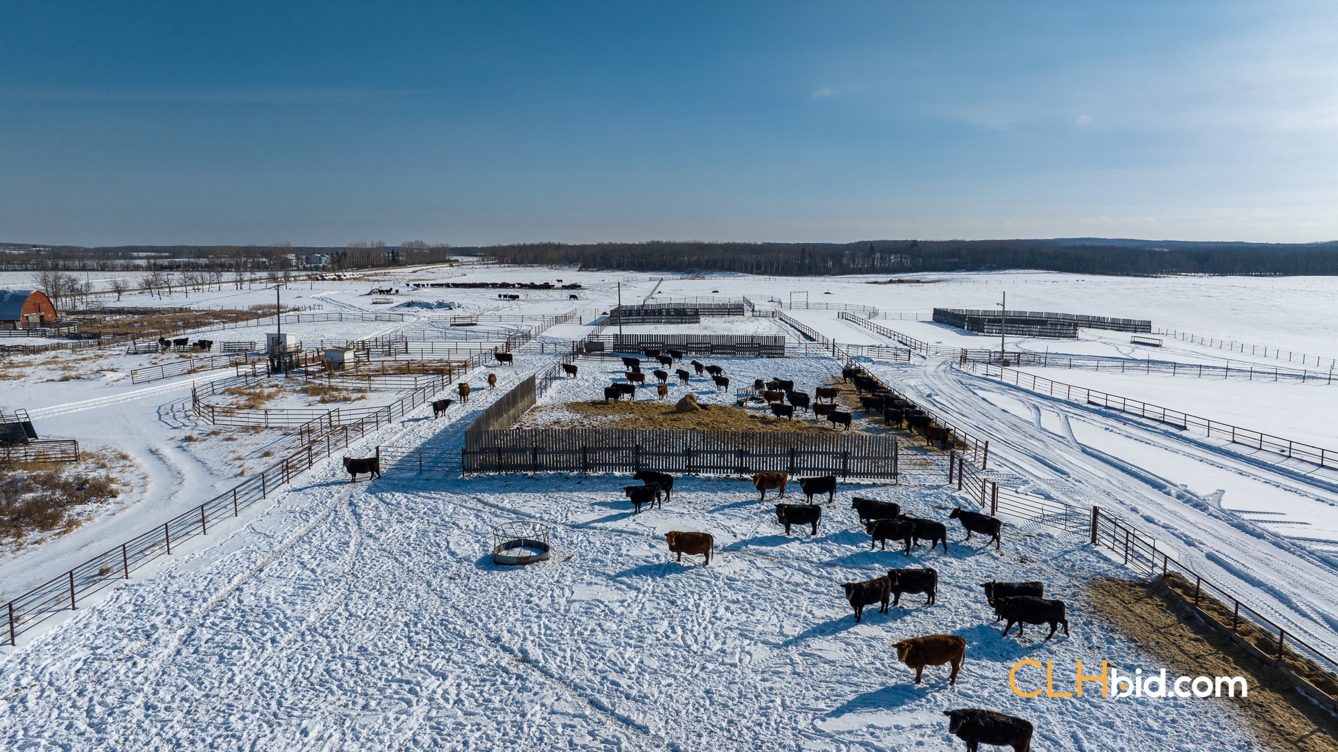 Turn Key Ranch | CLHbid.com