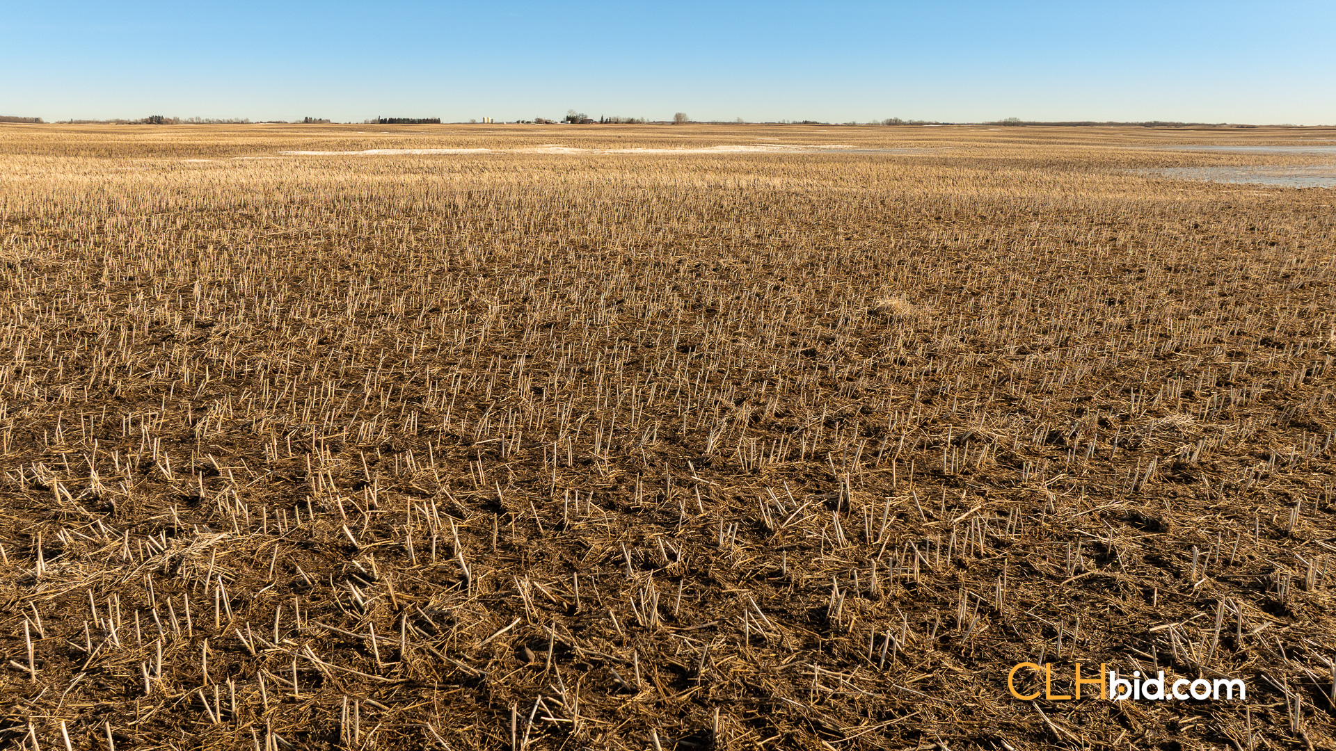 Andrew Primer | CLHbid.com