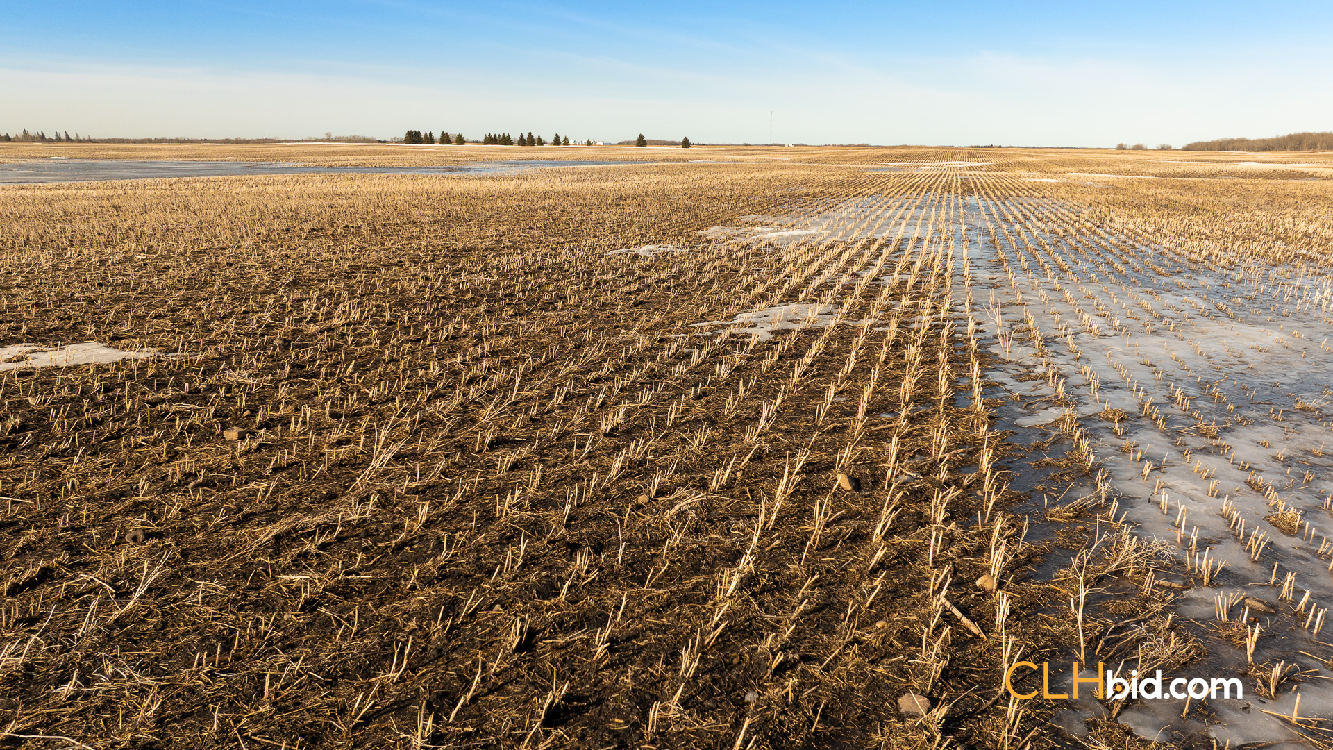 Andrew Primer | CLHbid.com