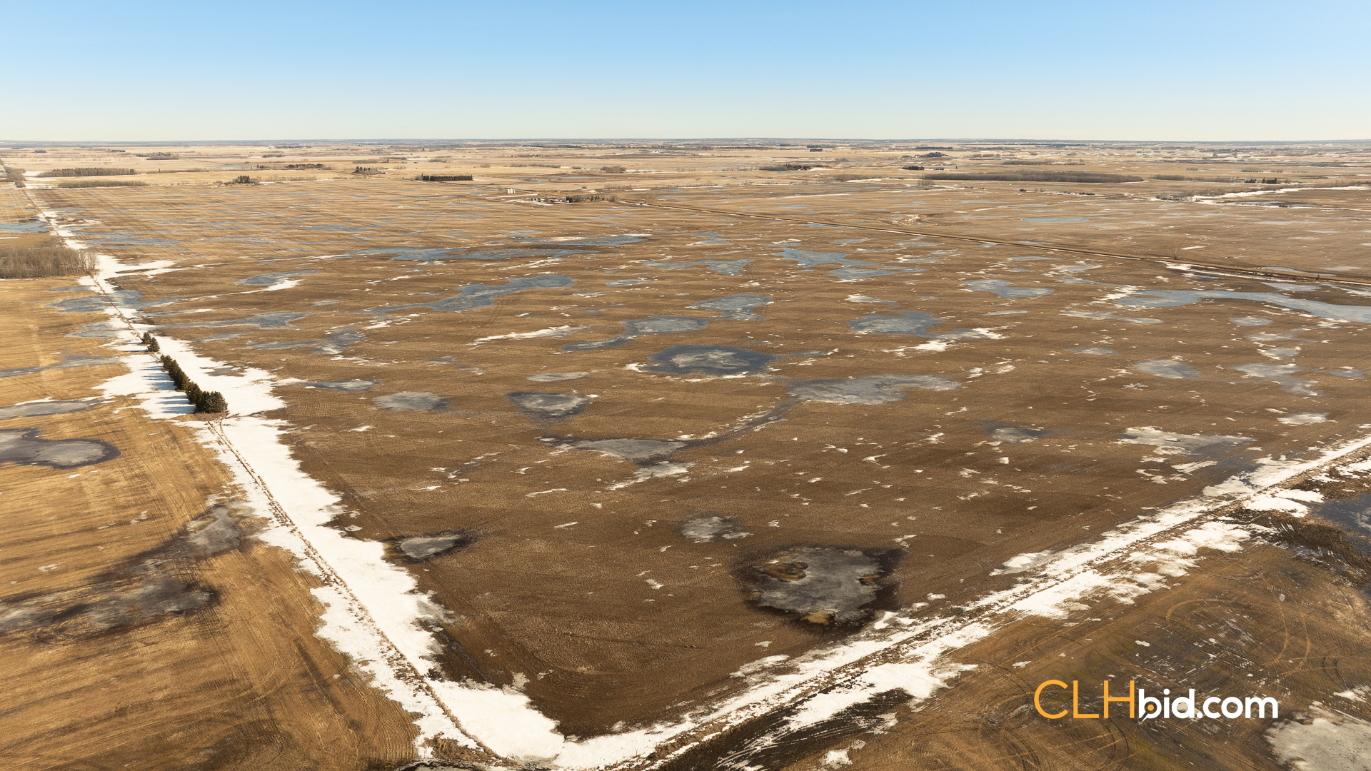 Andrew Primer | CLHbid.com