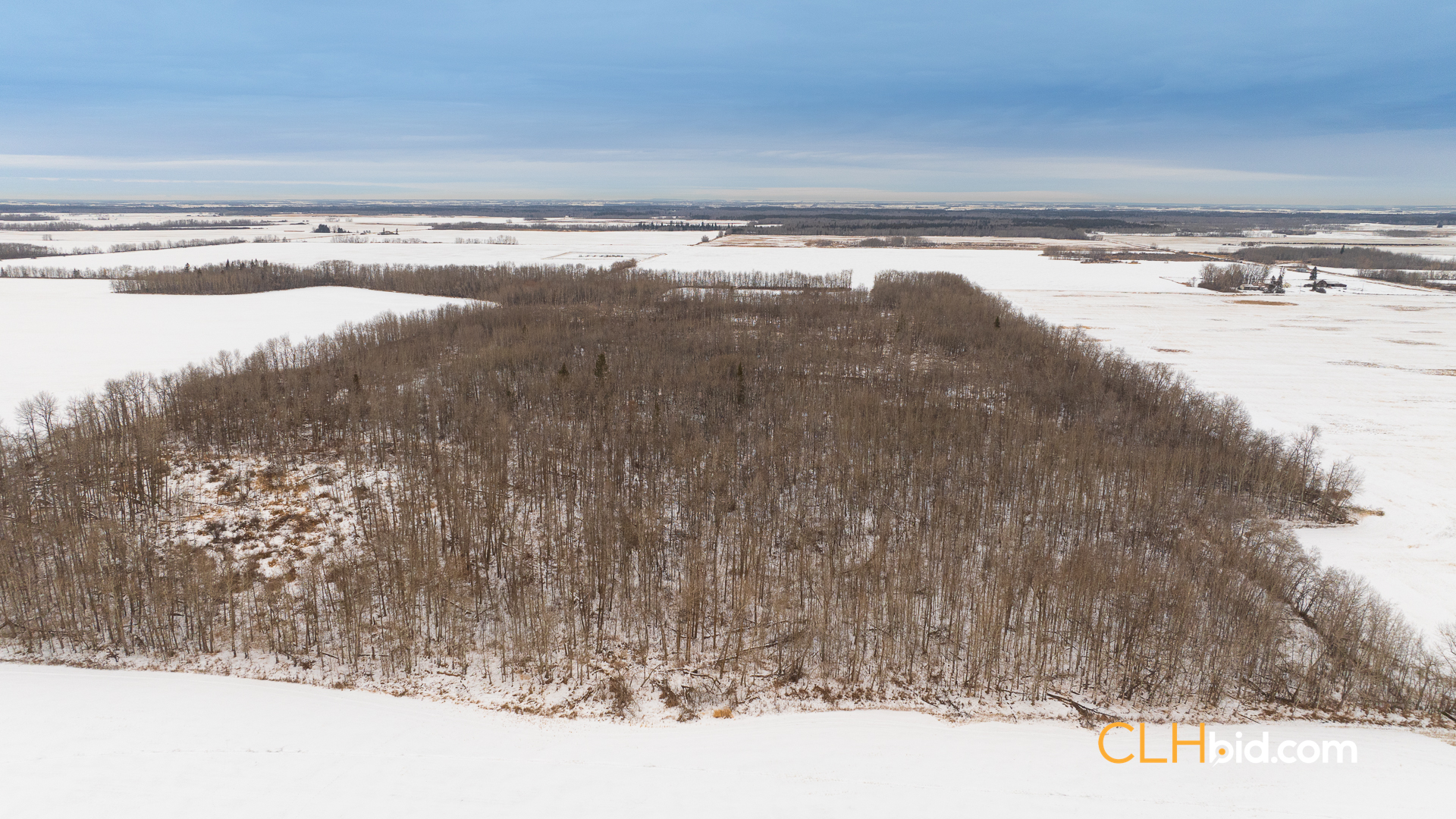 Lamont County Gem | CLHbid.com