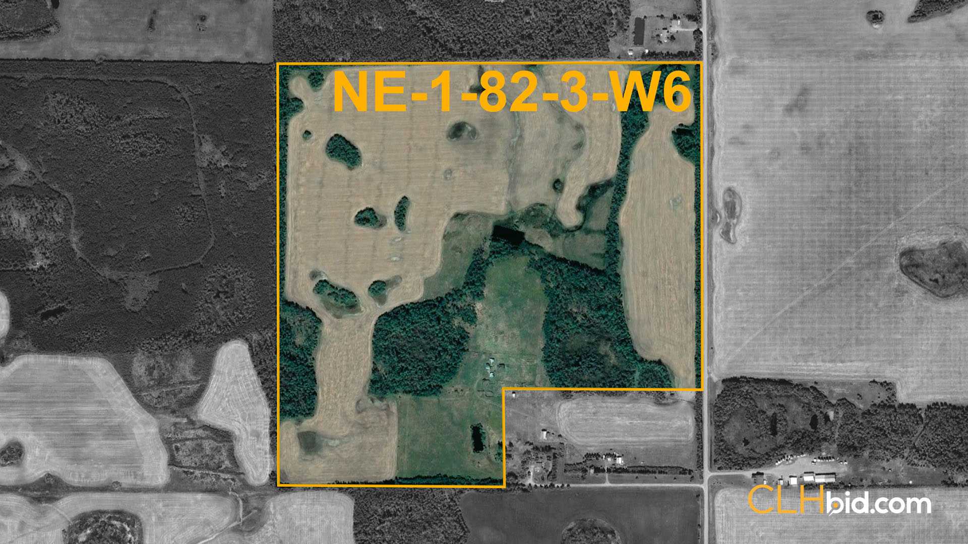 Jones' Gem | CLHbid.com