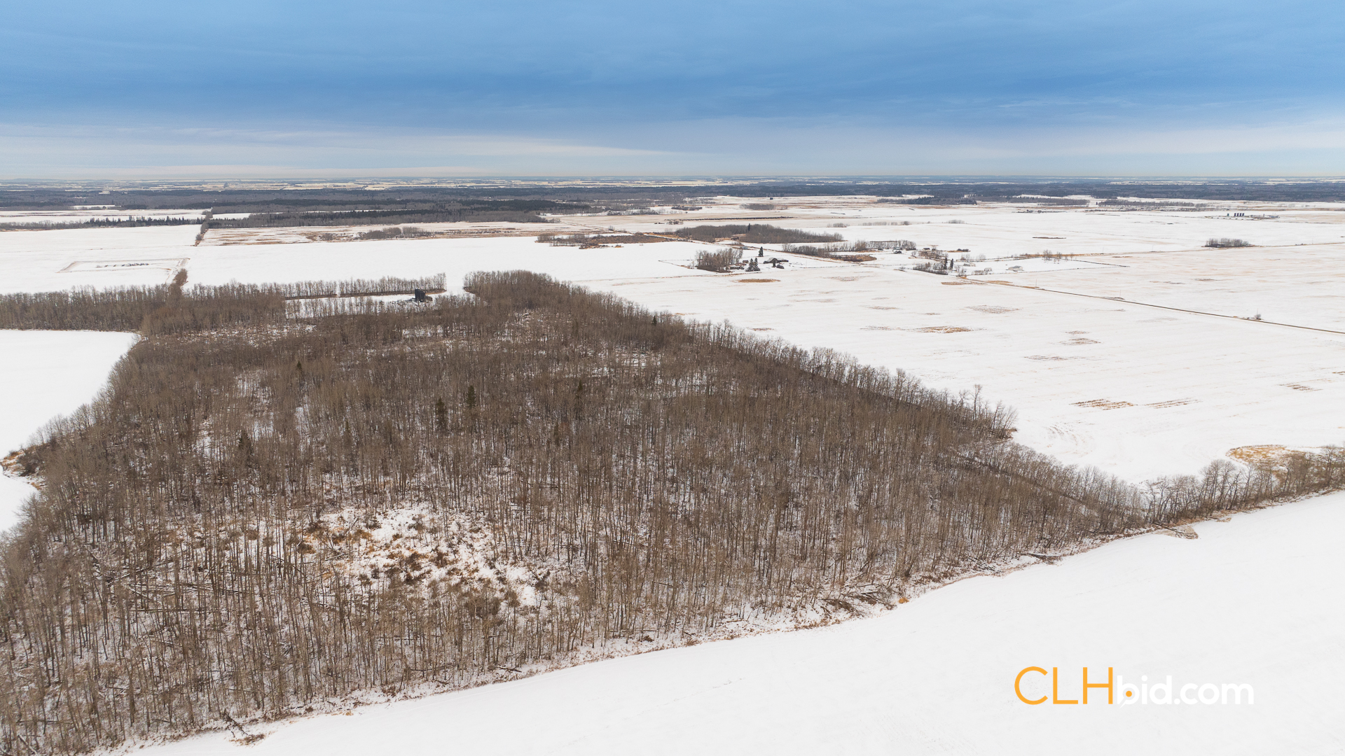 Lamont County Gem | CLHbid.com