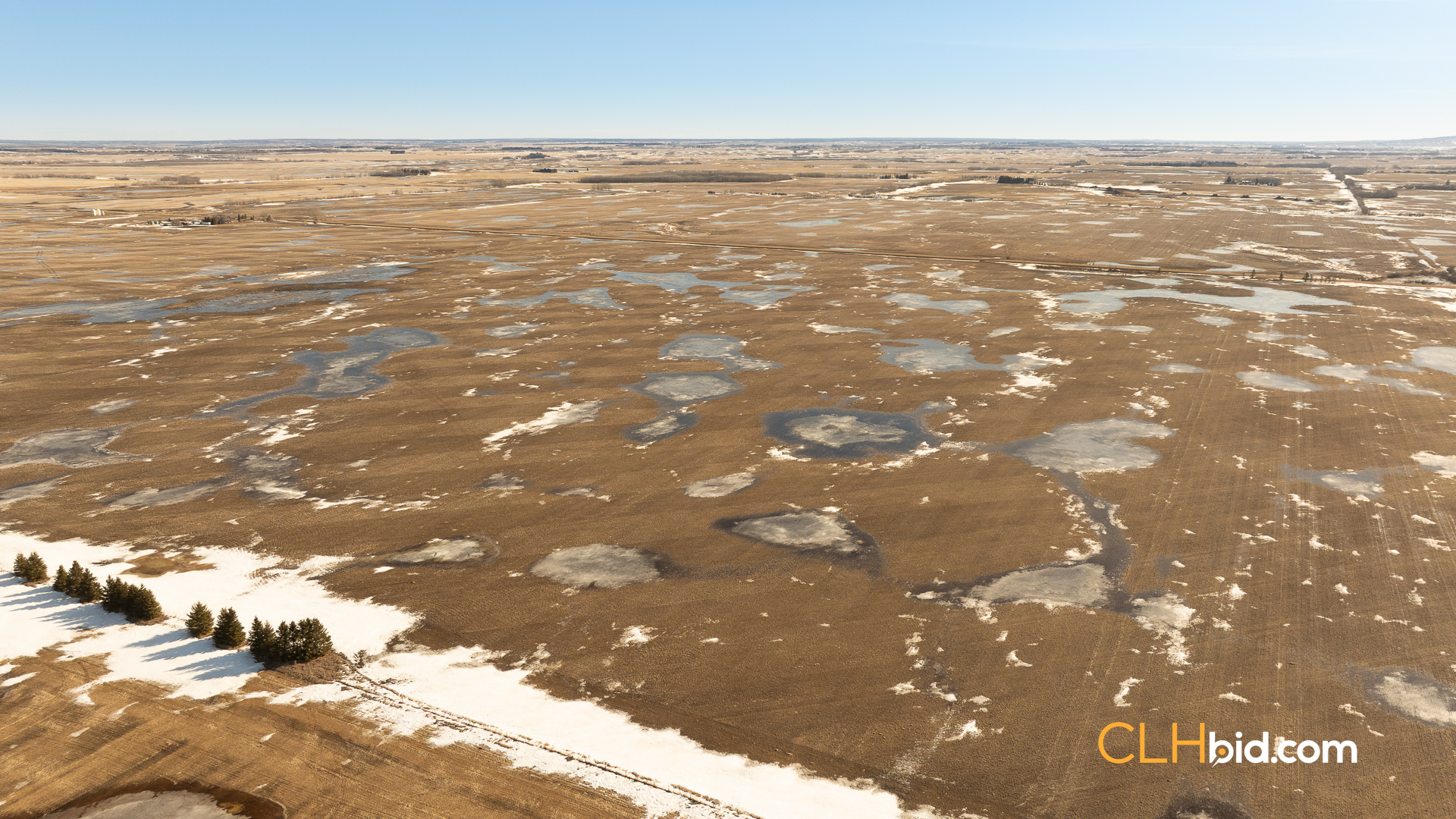 Andrew Primer | CLHbid.com