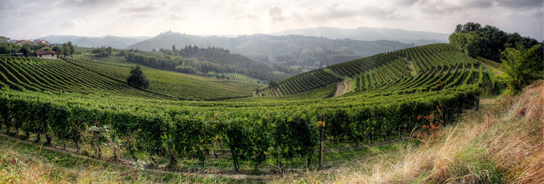 Franco M. Martinetti