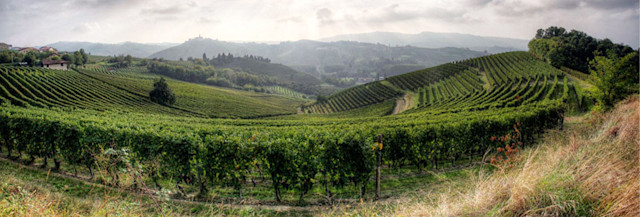 Franco M. Martinetti