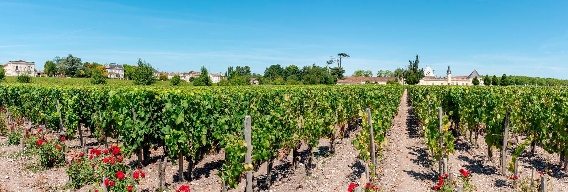 Weinregion Bordeaux: Alles uber Bordeauxs Weinbau