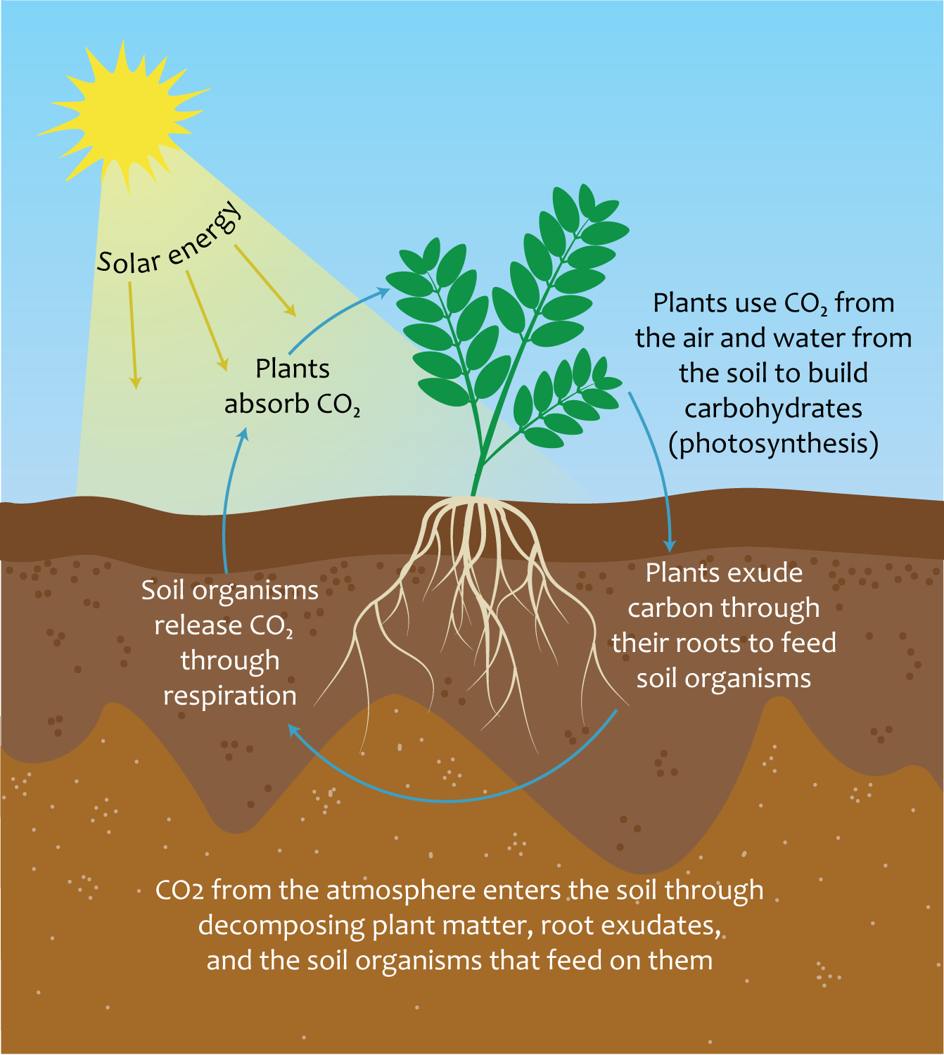 Maatregelen om de CO2-footprint in te dijken | Samen halen we het beste ...