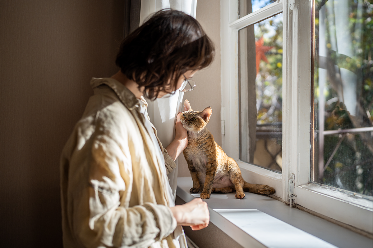 Comment connaître la race de son chat ? Tout savoir ! | Figo