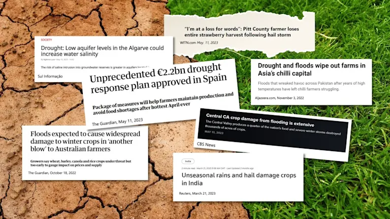 A new climate-resistance ecosystem frontier? | Alltech®