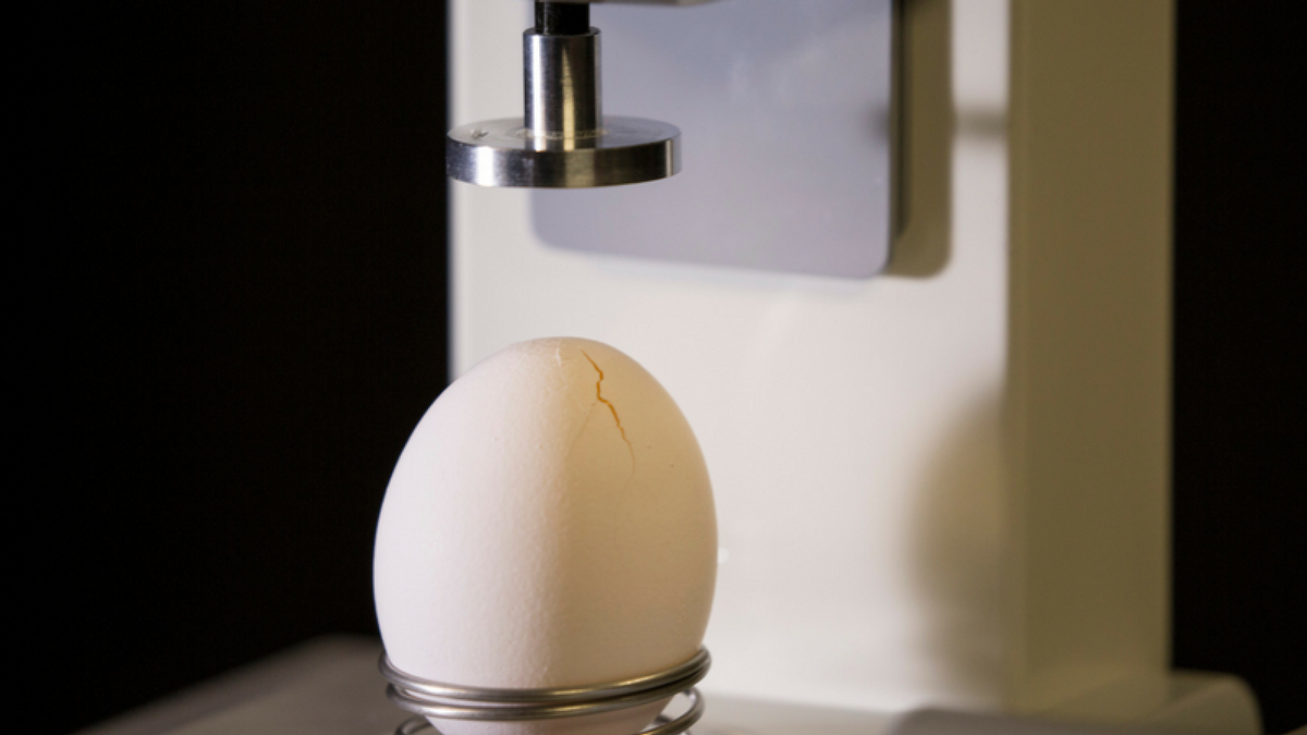 Shell strength: Put your eggs to the test | Alltech®