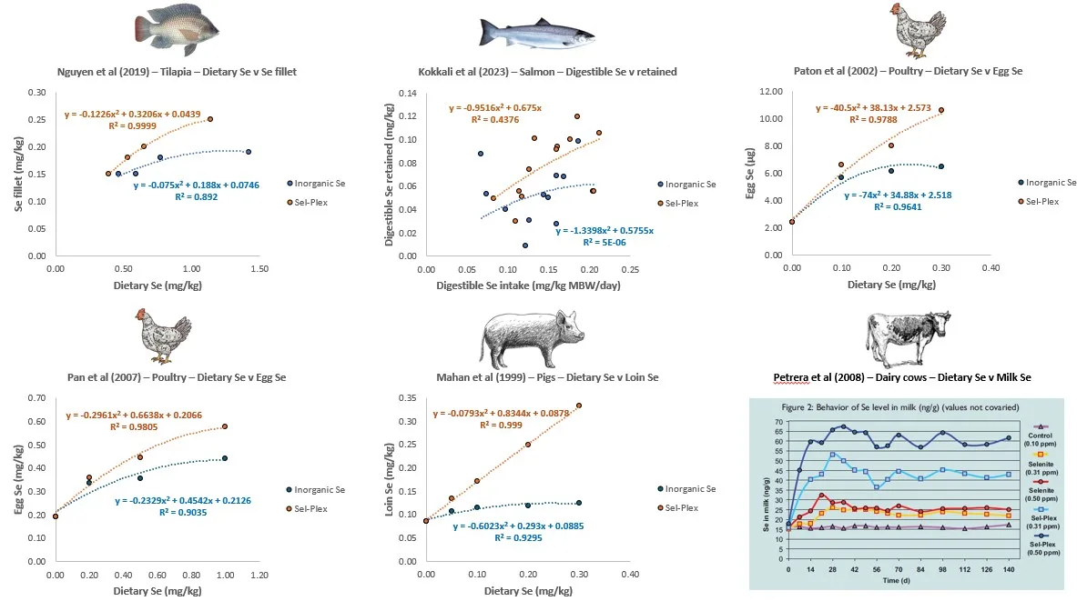Minerals: The Backbone of Fish Nutrition | Alltech®
