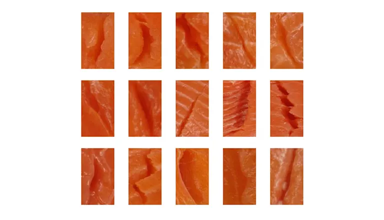 Gaping in farmed salmon: Causes and practical solutions | Alltech®