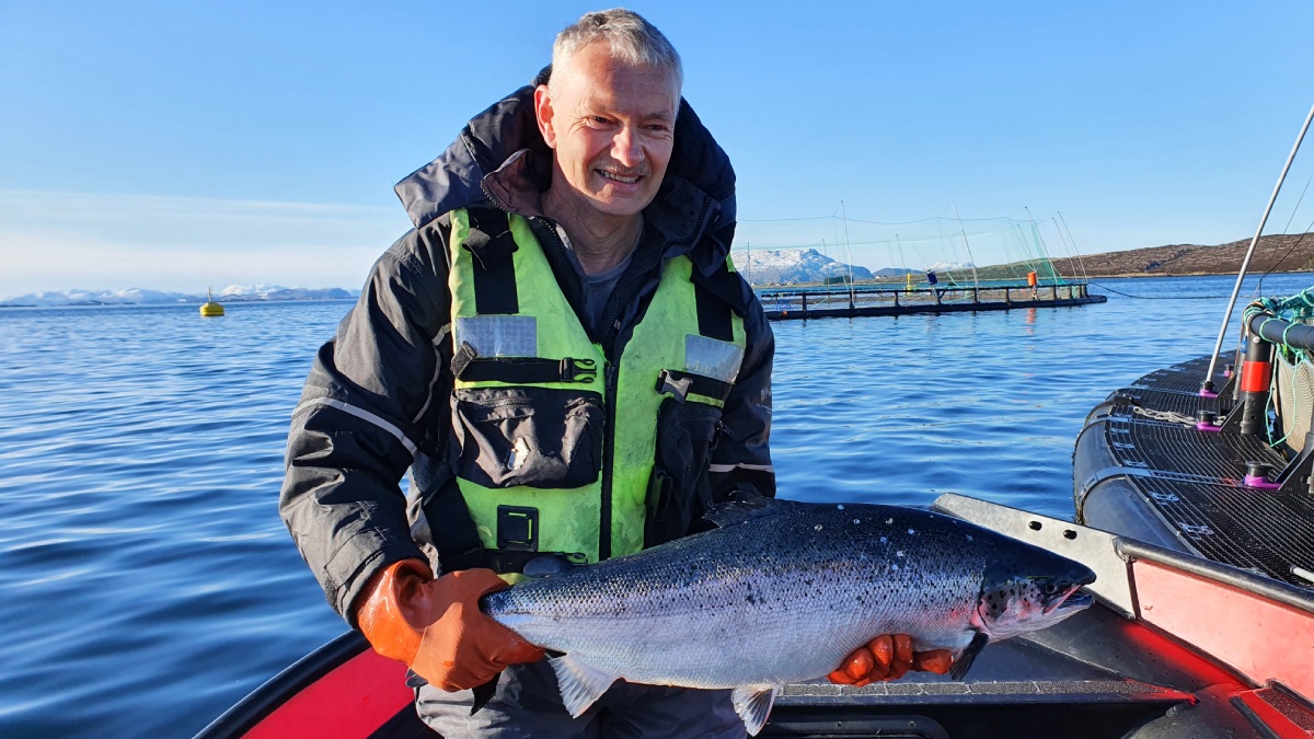 How to reduce stress on farm-raised fish | Alltech®