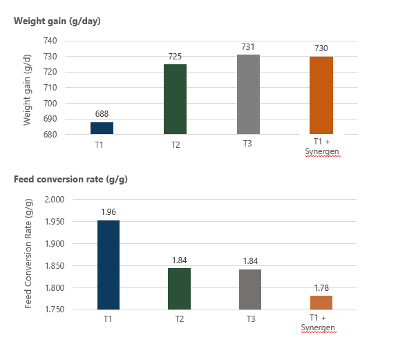 Maximizing lifetime feed efficiency in pig production | Alltech®