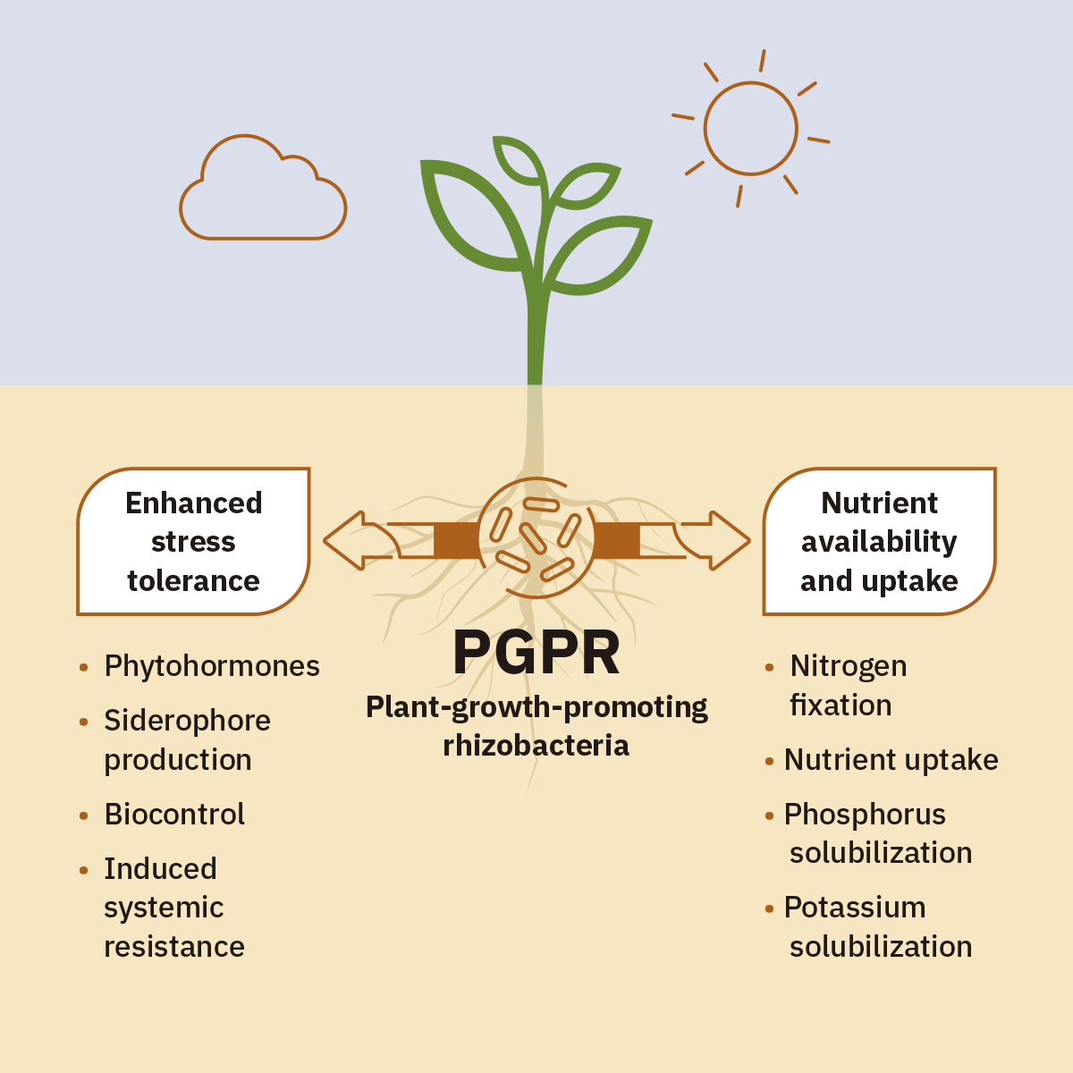 How suppressive soil yields healthier crops