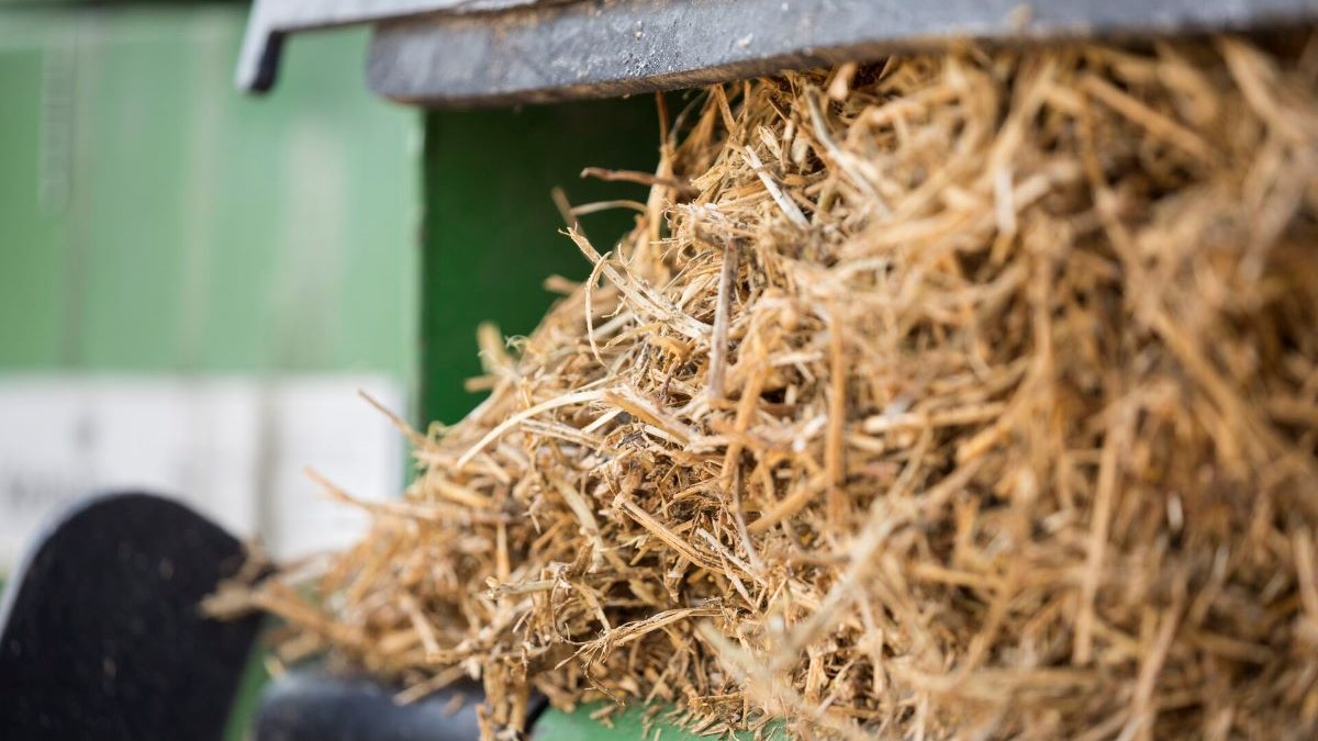 Tips for choosing the right TMR mixer | Alltech®