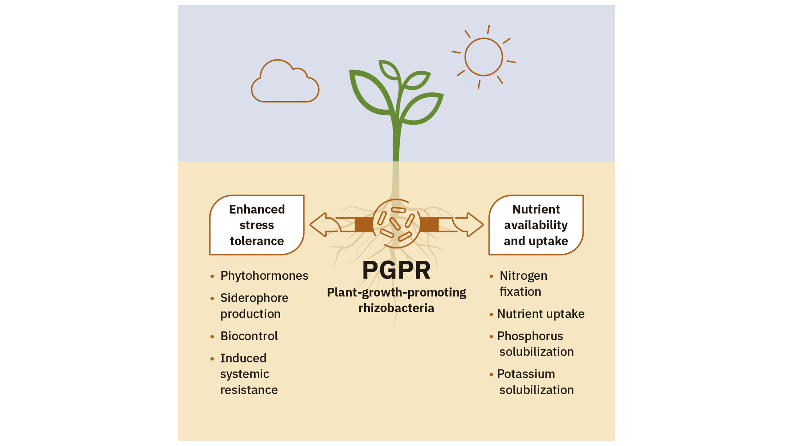 How suppressive soil yields healthier crops | Alltech®