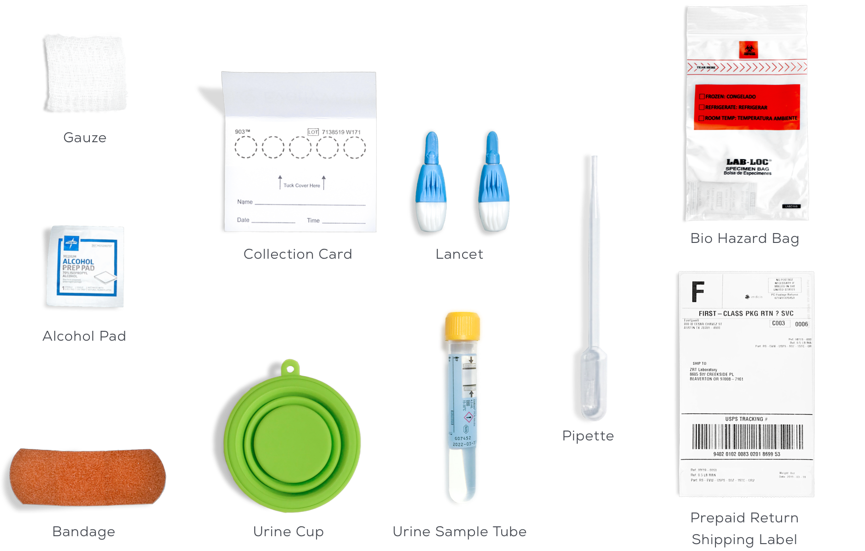 At Home STD Test Kit for Men - Easily Check for 7 Common STDs | Everlywell