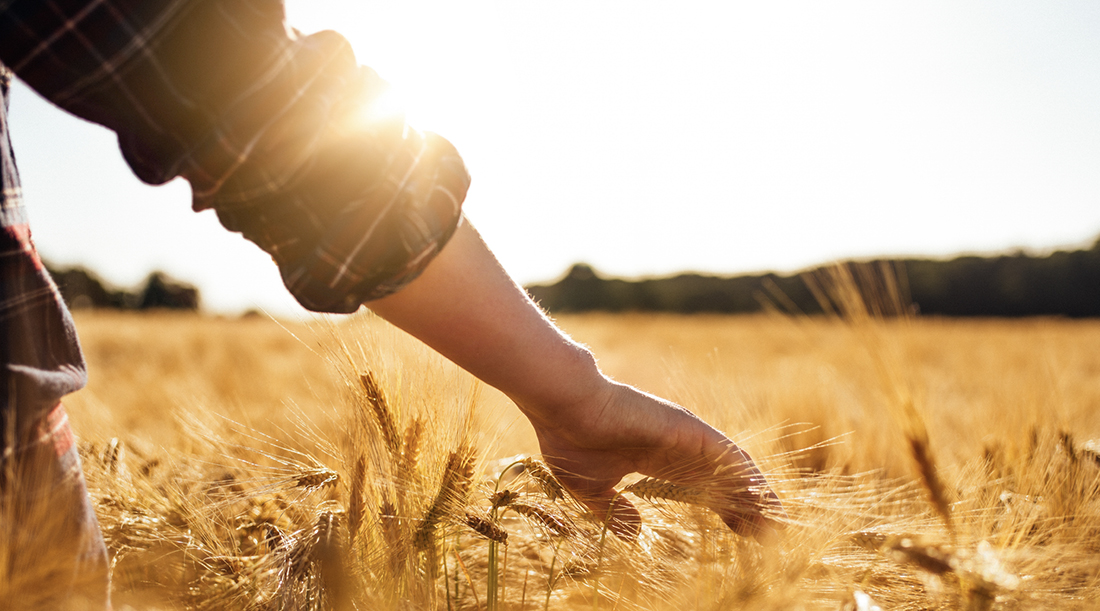 To Farm or Not to Farm? A Question for the Next Generation | The Link ...
