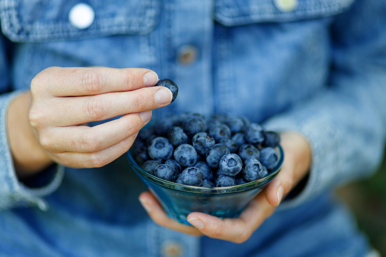Which Fruits Have the Lowest Glycemic Index?