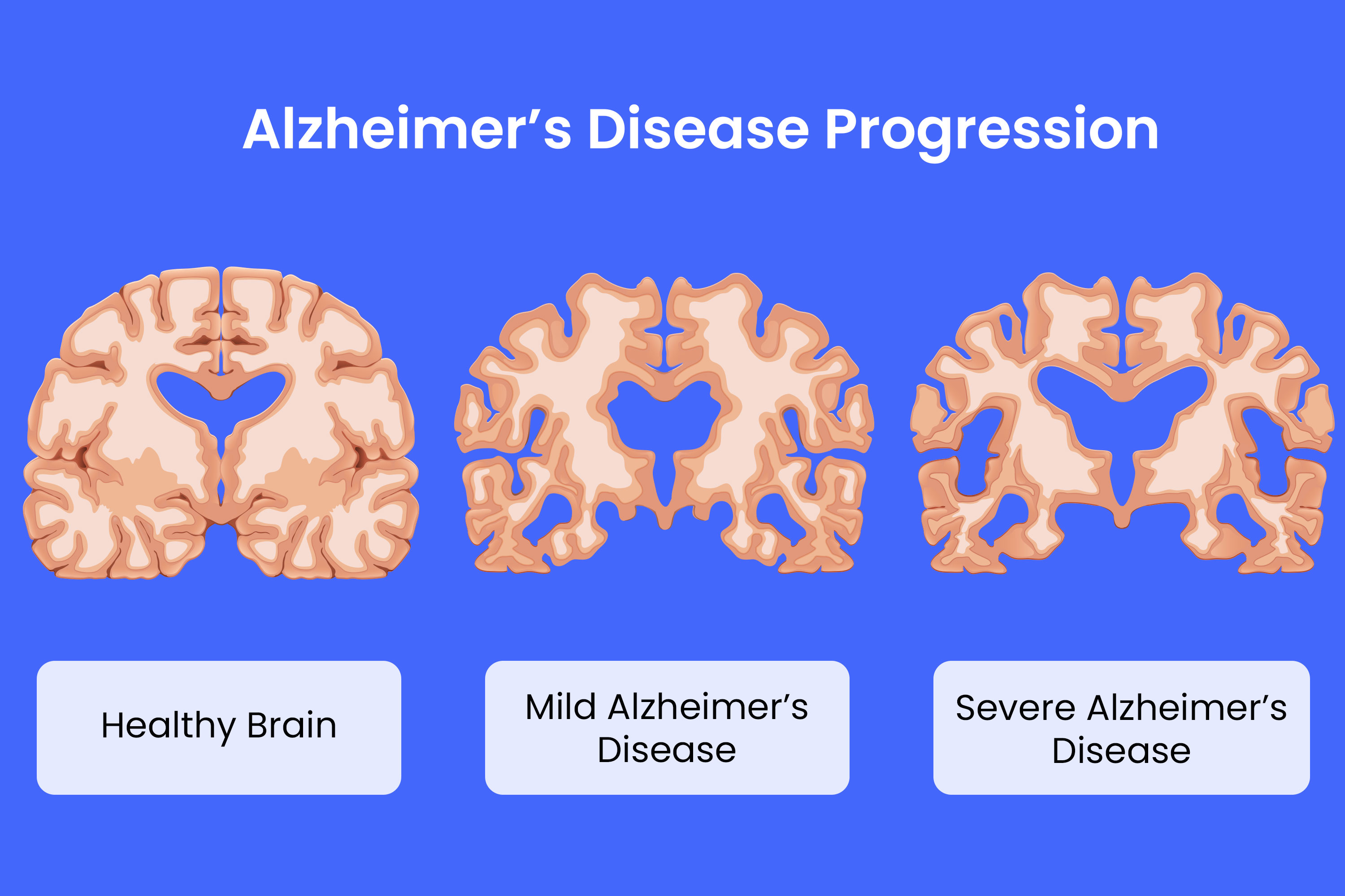 Portfolio | Nikhil Soni