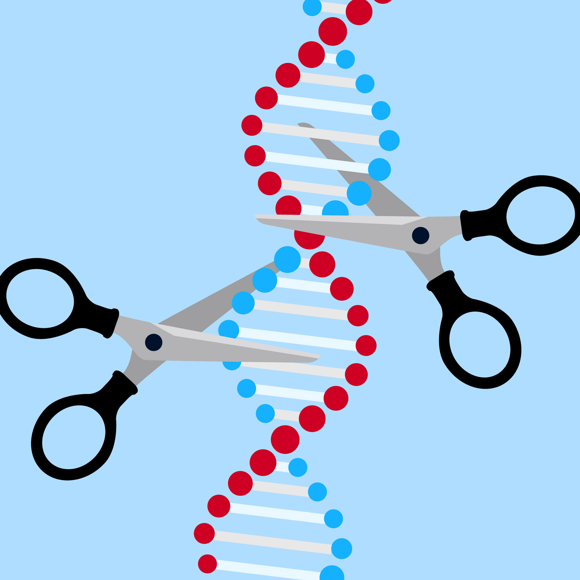 Questions to Ask Your Doctor About ATTR-CM Treatment