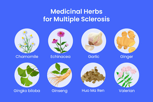 Natural Remedies for MS: Supplements, Exercise and More