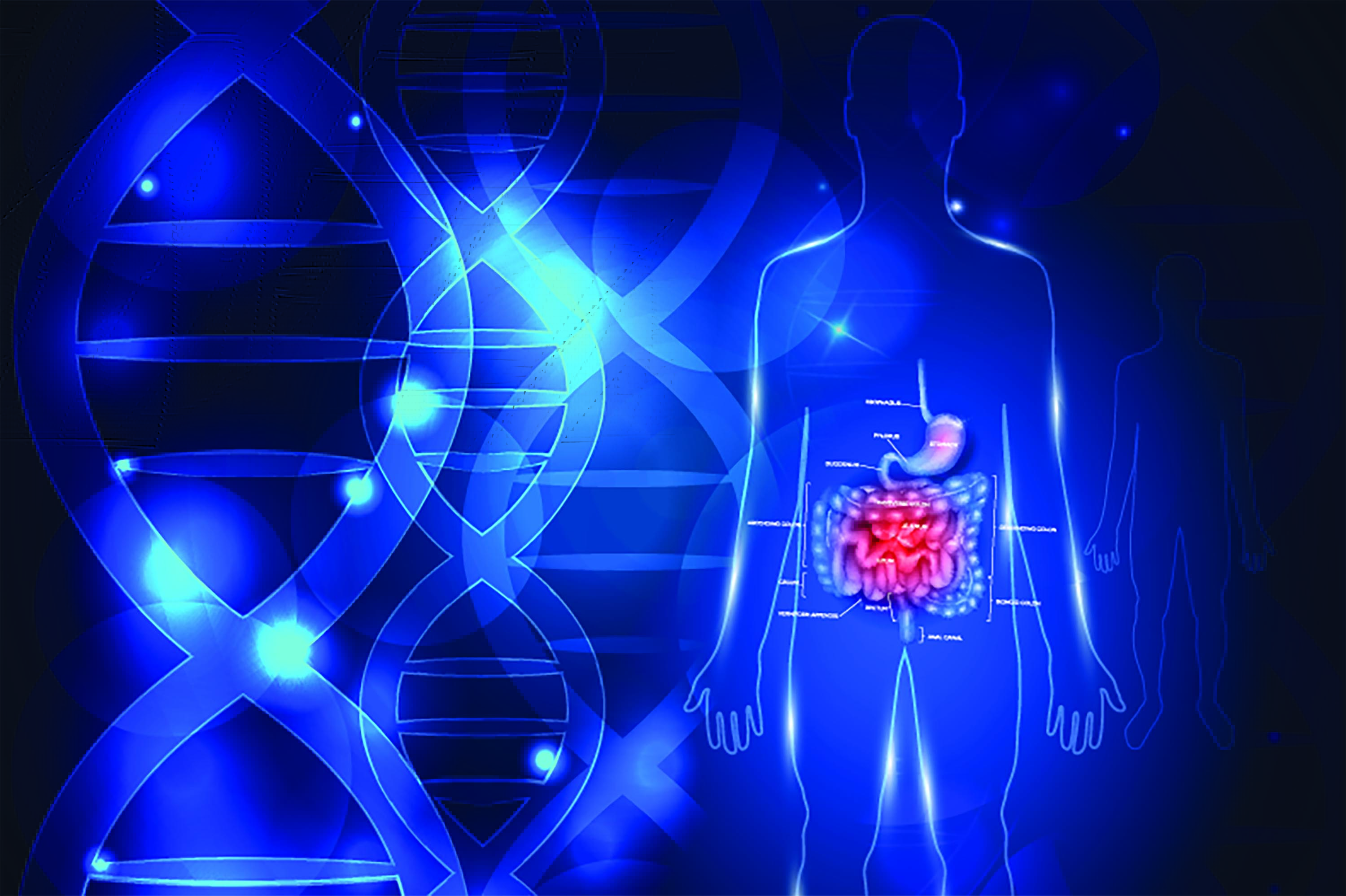 How Does Crohn's Disease Affect the Digestive System?